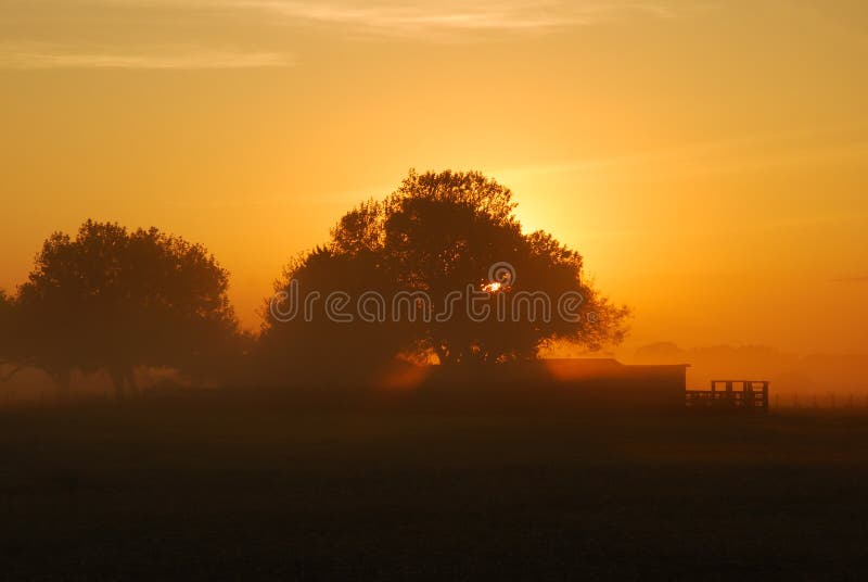 Foggy morning sunrise stock image. Image of nature, dawn - 3662861