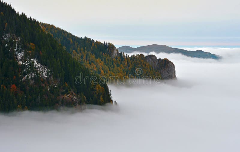 Foggy Mountain Forest stock photo. Image of panning, fairy - 78979790
