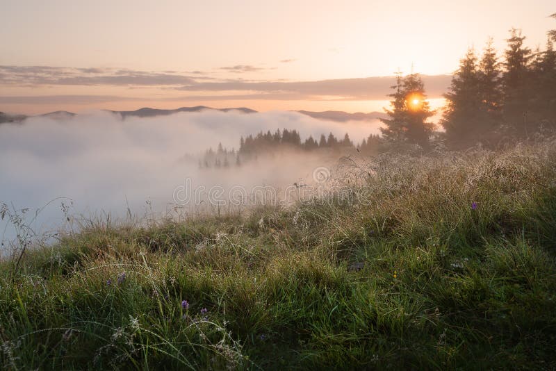 Foggy mountain morning stock image. Image of mountain - 52636939