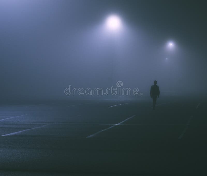 Foggy night stock image. Image of night, dramatic, effect - 127945505