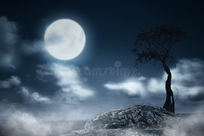 23,435 Moonlight Tree Stock Photos - Free & Royalty-Free Stock Photos ...