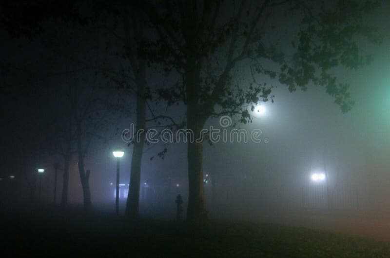 Foggy night stock image. Image of night, drizzle, grass - 82309911