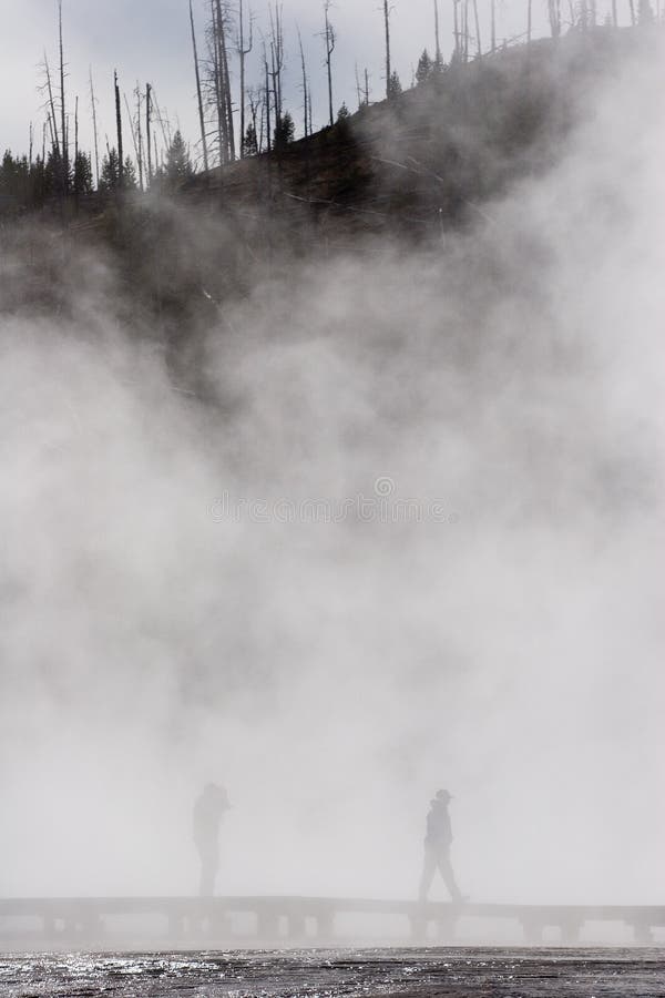 Foggy path stock image. Image of bank, national, river - 2520029