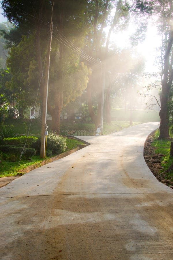 Foggy pathway stock photo. Image of terrace, mist, expanse - 38708520