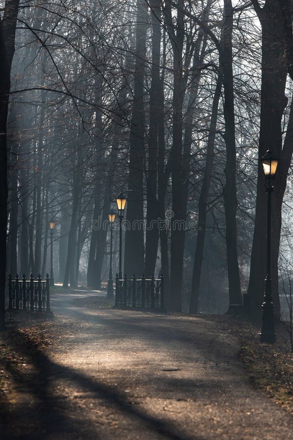 Foggy Spring Morning in the Park in Pszczyna, Beautiful Alleys and Old ...