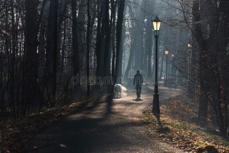 Foggy Spring Morning in the Park in Pszczyna, Beautiful Alleys and Old ...