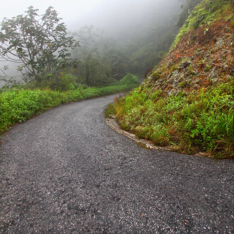 Foggy Puerto Rico Road stock image. Image of jayuya, single - 21578269