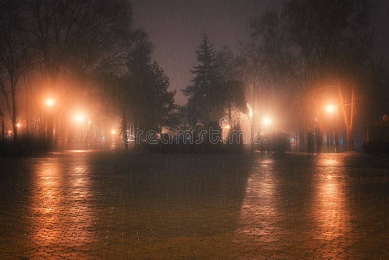 Foggy and Rainy Night in a Park Stock Photo - Image of alone, landscape ...