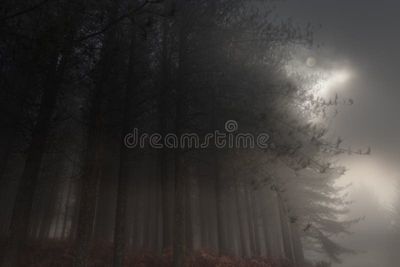 Foggy rising moon stock photo. Image of foggy, morning - 169390546
