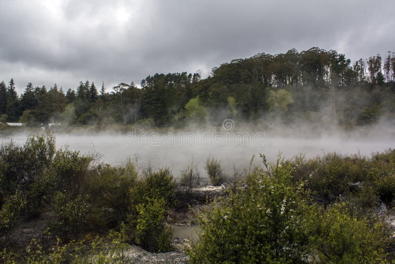 Foggy River and Forest Landscape Stock Photo - Image of environmental ...