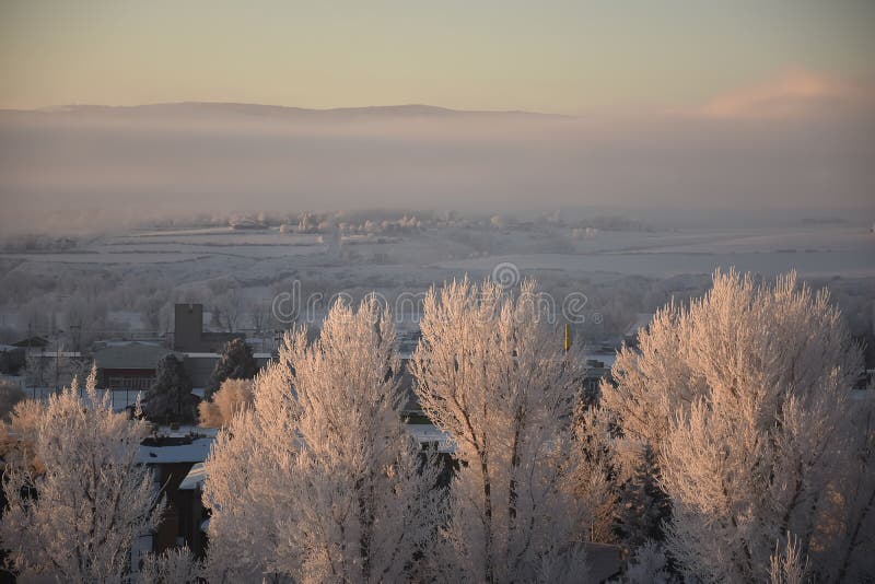 Foggy River on Winter Morning Stock Photo - Image of foggy, light: 94889650