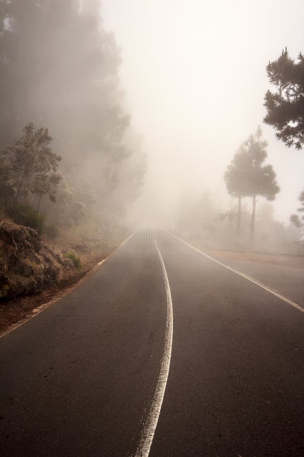 Foggy Road in Forest, Street in Misty Forest Stock Image - Image of ...