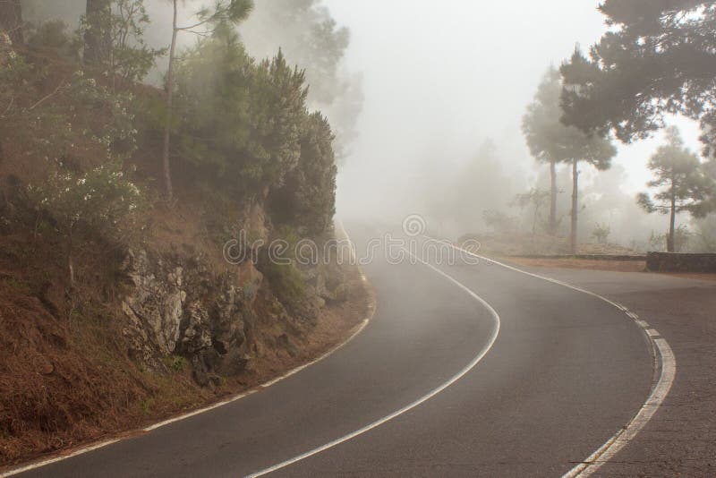 Foggy Road in Forest, Street in Misty Forest Stock Image - Image of ...