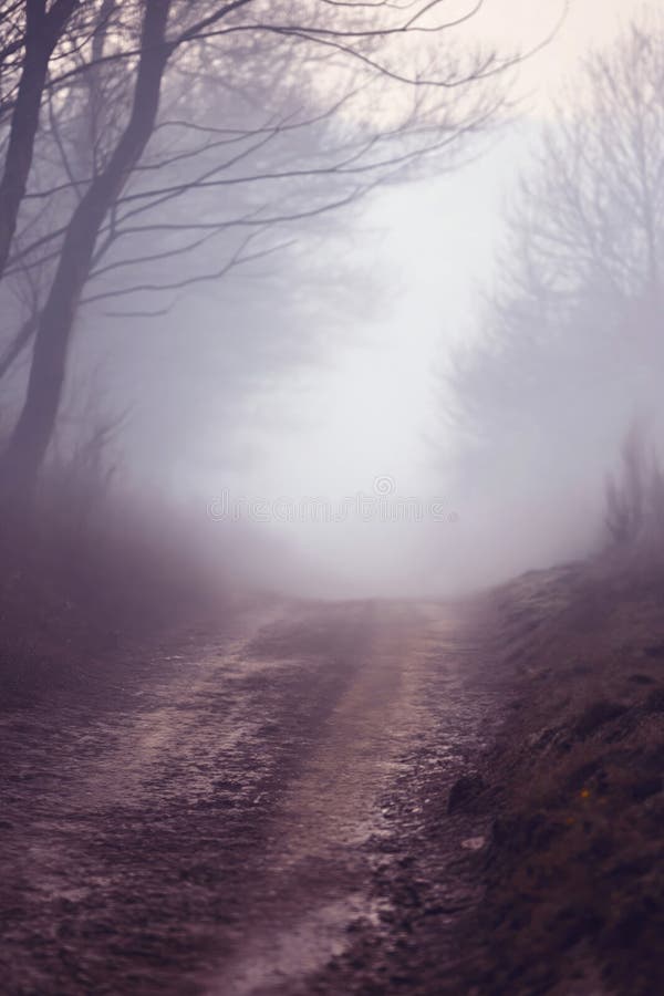 Foggy Rural Dirt Path. Moody Early Morning Hues Stock Illustration ... Foggy Rural Dirt Path. Moody Early Morning Hues Stock Illustration ...