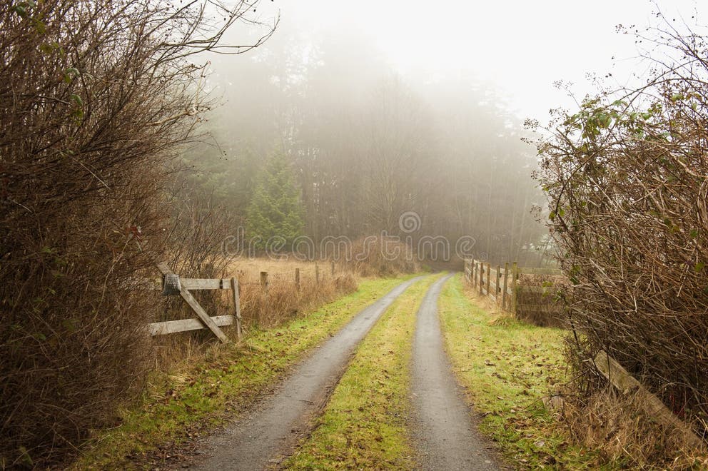Foggy Rural Roadway stock photo. Image of fence, northwest - 29347516