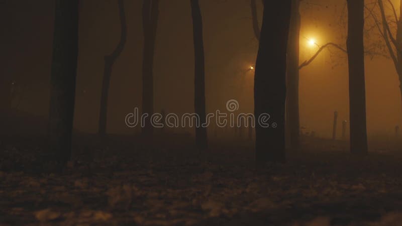 Foggy Scary Autumn Night Background Stock Video - Video of fear ...