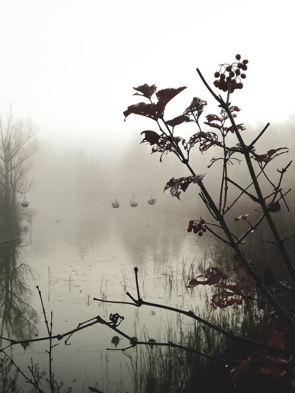 Foggy Seneca Lake in Fall stock photo. Image of senecalake - 195833582
