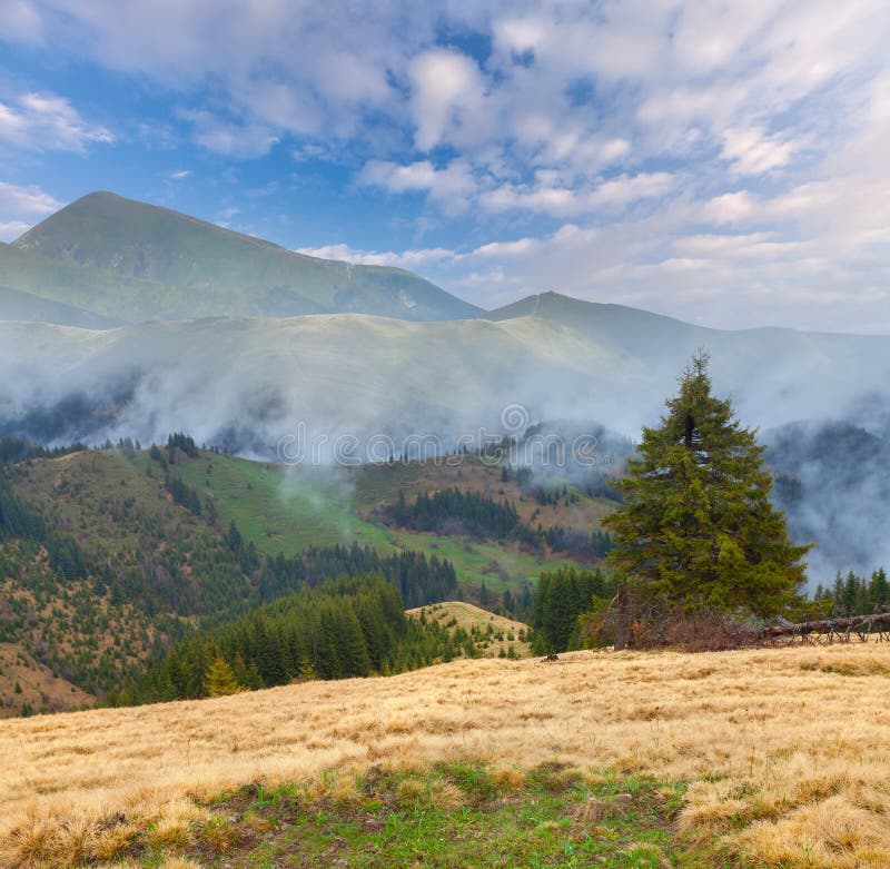 Foggy spring landscape stock image. Image of meadow, hill - 29968323