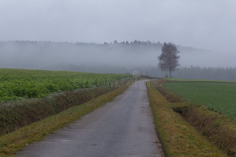 Foggy spring landscape stock image. Image of lake, environment - 83426411