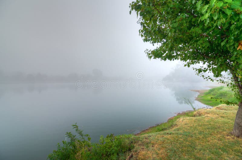 Foggy Spring Morning stock image. Image of morning, covered - 49723561