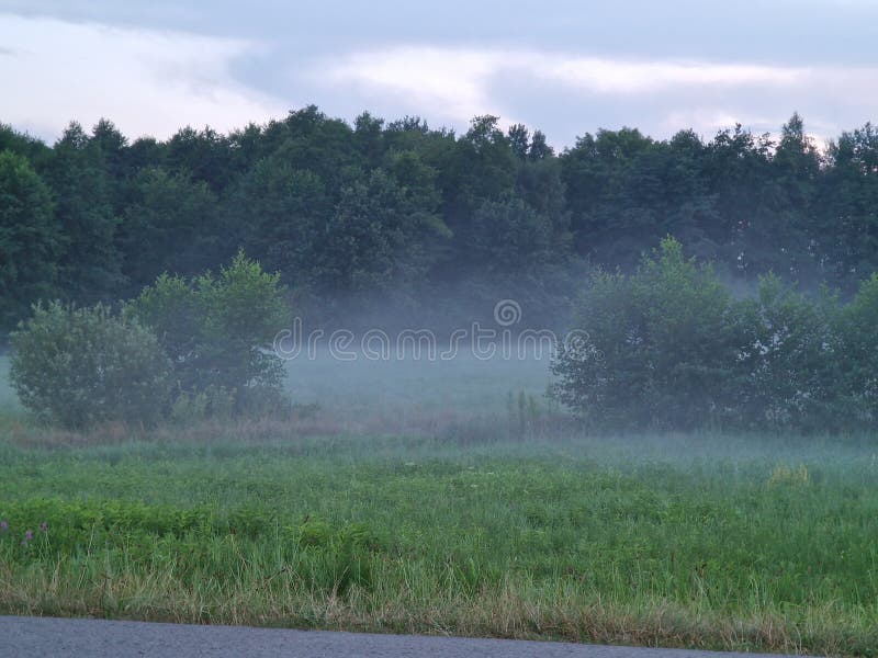Foggy Spring Morning in Polish Village Stock Photo - Image of green ...
