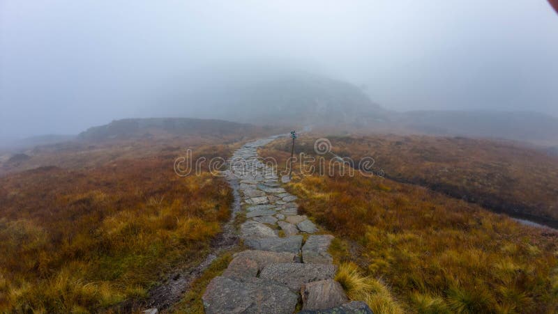 Foggy Stone Path through Misty Landscape Stock Photo - Image of idyllic ...