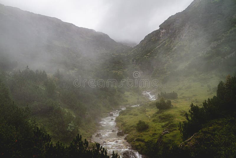 A foggy stream in the alps stock image. Image of scenic - 196891175