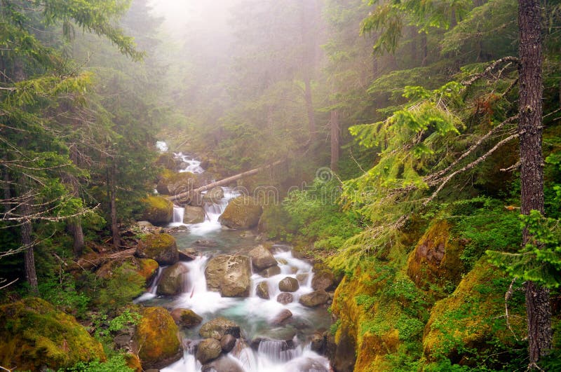 Foggy Stream in Glacier National Park Stock Image - Image of cloud ...