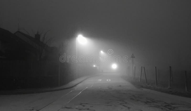 Foggy street at night stock photo. Image of white, blizzard - 271688830