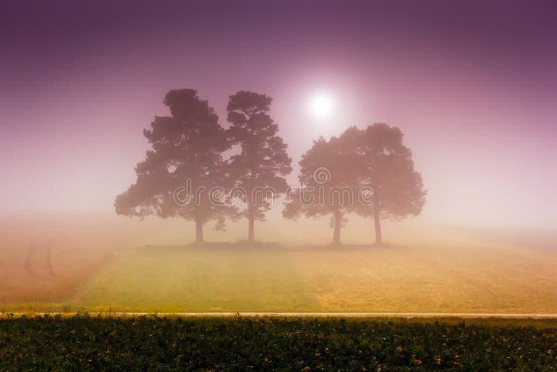Foggy sun stock photo. Image of alps, mystic, mountain - 21994752