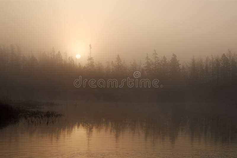 Foggy sunrise stock image. Image of river, calm, stream - 17650237