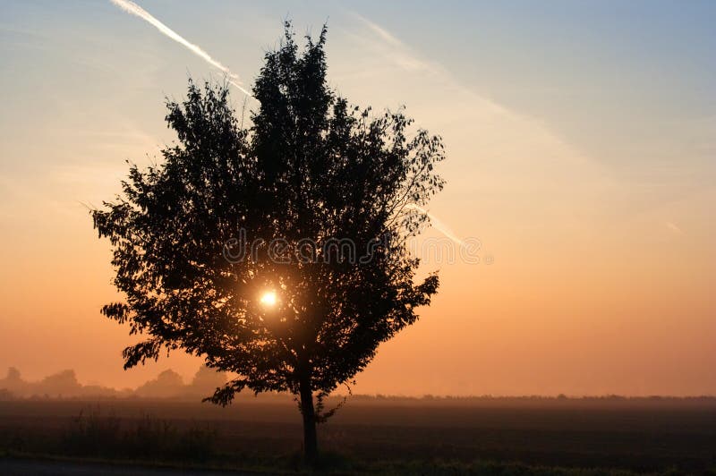 Foggy sunrise stock image. Image of mist, outdoor, farm - 3519615