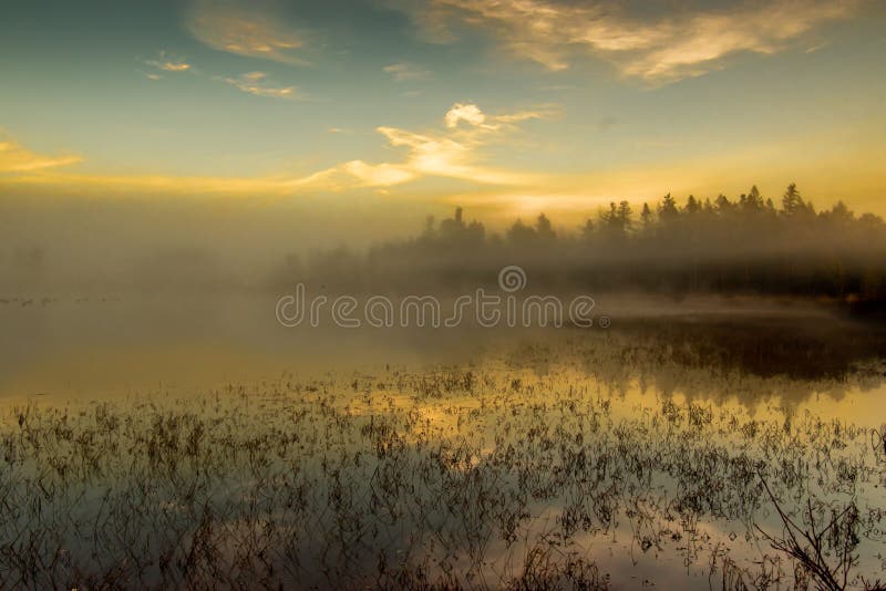 Foggy Sunrise Above the Swamp Stock Image - Image of swamp, sunrise ...