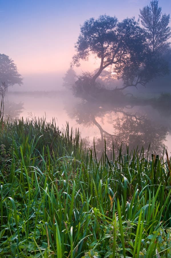 Foggy Sunrise Landscape Over River Stock Image - Image of beautiful ...
