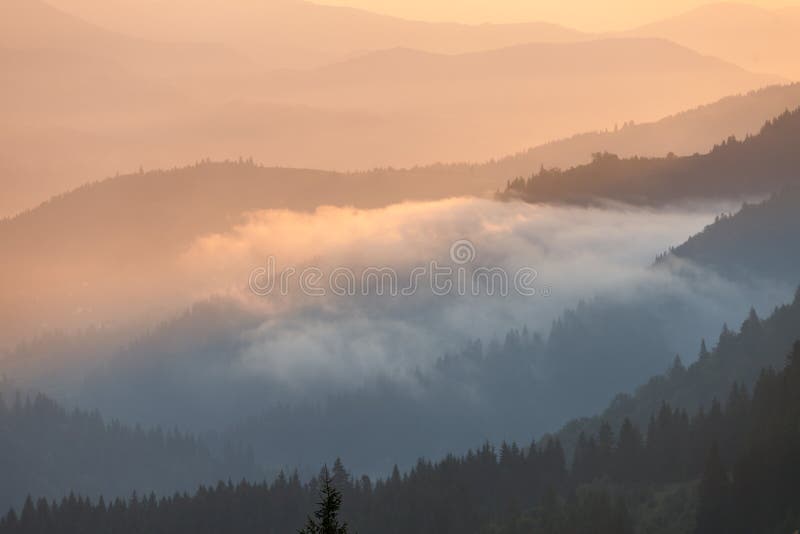 Foggy Sunrise Morning in the Mountains Stock Photo - Image of peak ...