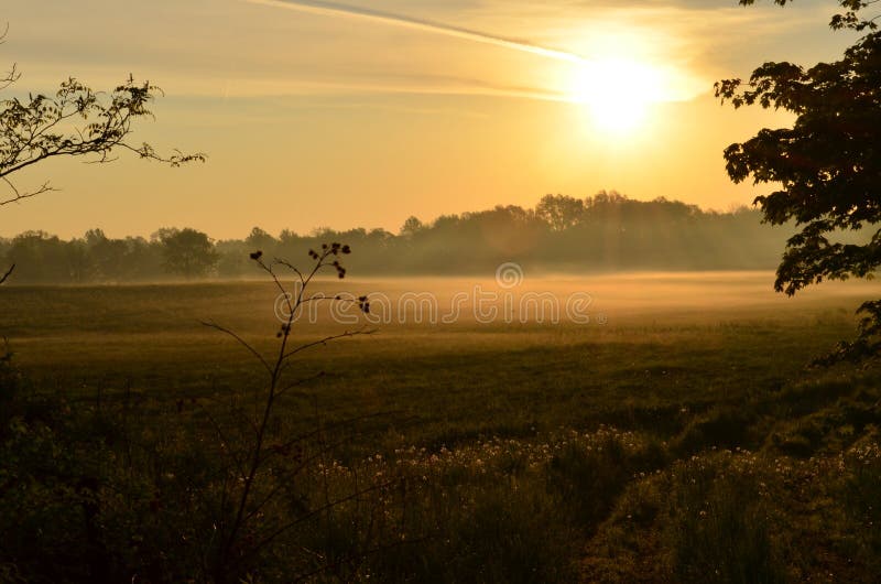 Foggy Sunrise Over a Country Path through a Hay Field Stock Photo ...