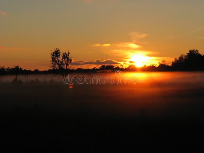 Foggy sunset stock photo. Image of landscape, scenery - 1397834