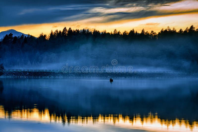 Foggy sunset stock image. Image of golden, forest, lights - 206170409