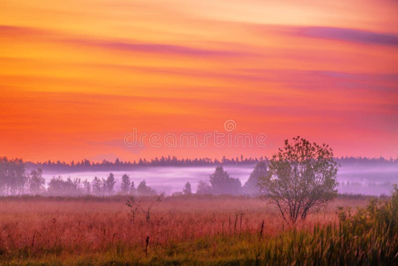 Foggy Sunset in Summer Field Stock Image - Image of colorful, nature ...