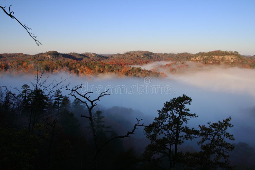 Foggy valley stock image. Image of nature, blue, color - 23180725