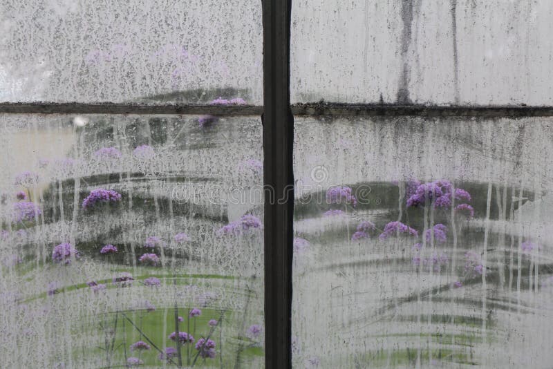 Foggy Window. Closeup Shot Of A Steamy Window With Water Drops Stock ...
