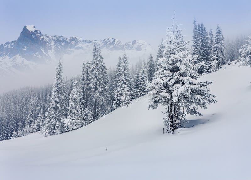 Foggy Winter Morning in Mountains Stock Image - Image of cold, color ...