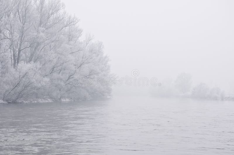 Foggy winter morning stock image. Image of branch, forest - 17674463