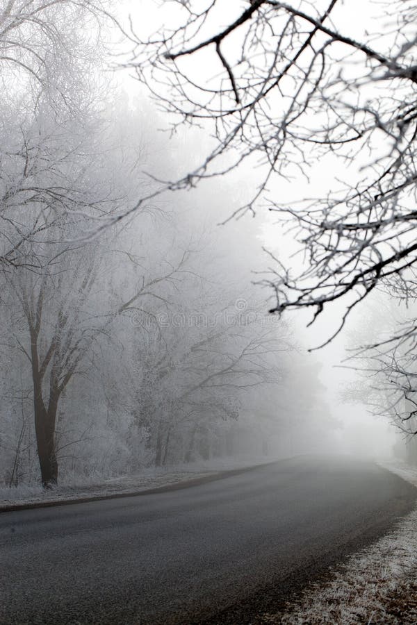 Foggy winter morning. stock image. Image of asphalt, frozen - 34145765