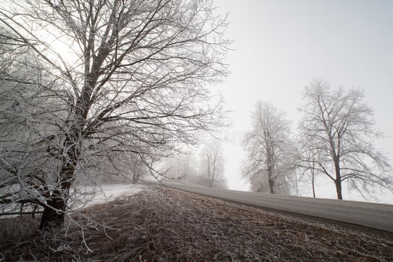 Foggy winter morning. stock image. Image of snow, foggy - 34145775