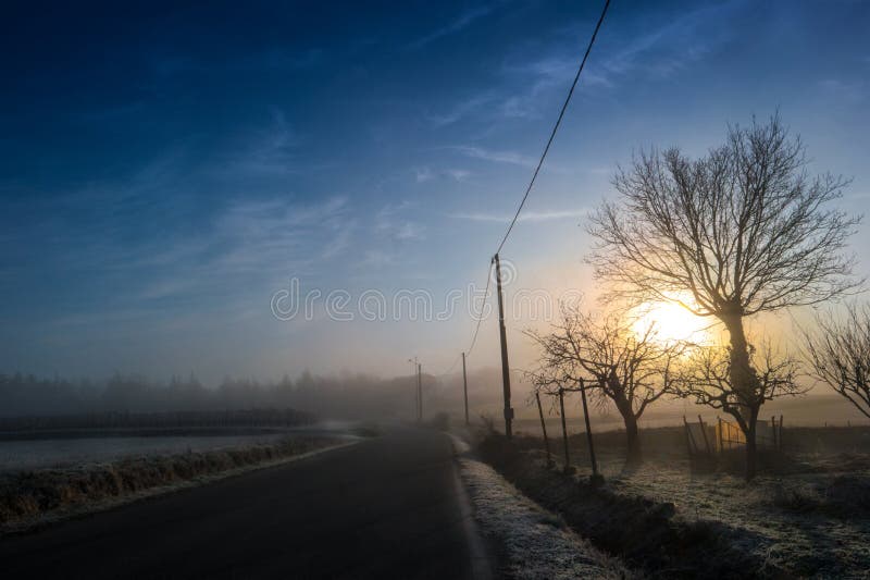 Foggy in winter morning stock photo. Image of panorama - 110524074