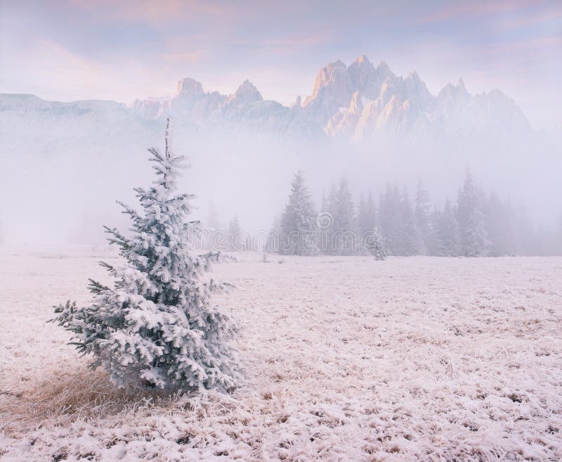 Foggy Winter Morning in Mountains Stock Image - Image of mountain ...