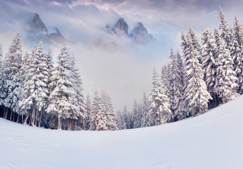 Foggy Winter Morning in Mountains Stock Image - Image of cold, color ...