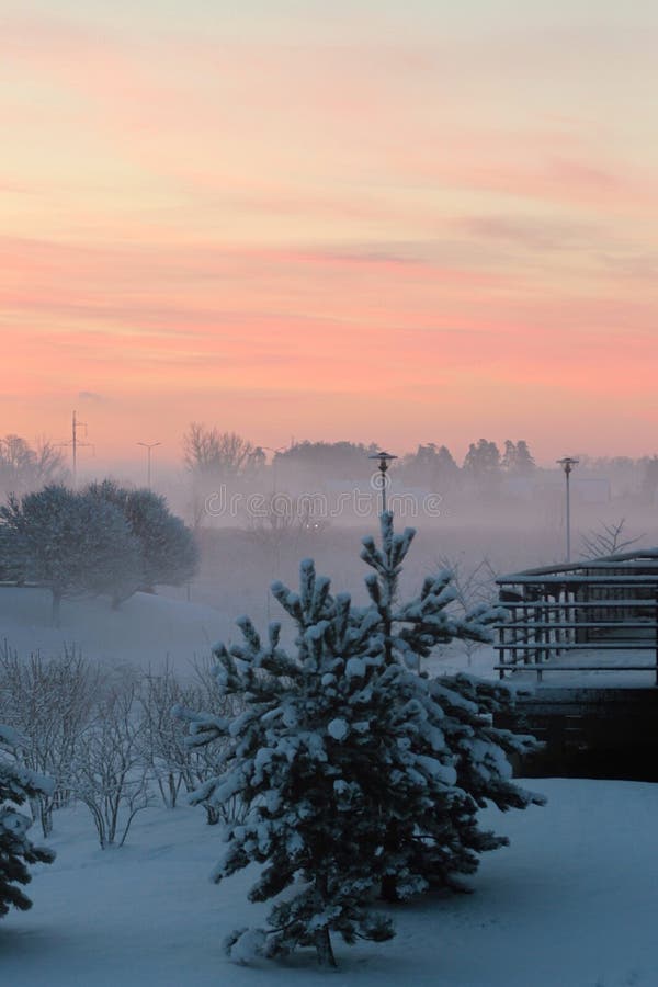 Foggy Winter Morning with a Tree Stock Photo - Image of orange, clouds ...