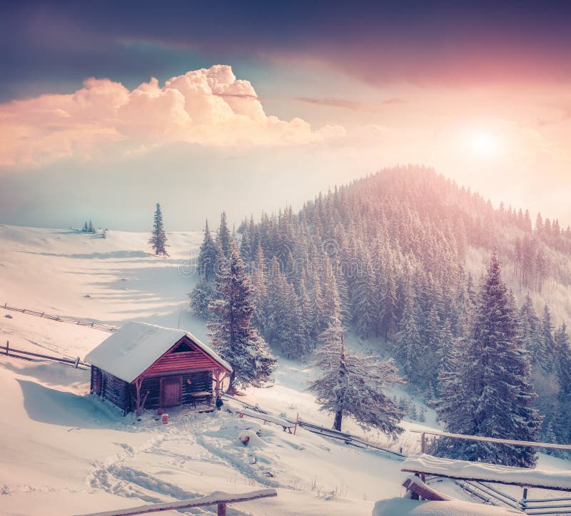 Foggy Winter Scene in the Mountain Farm. Stock Image - Image of forest ...